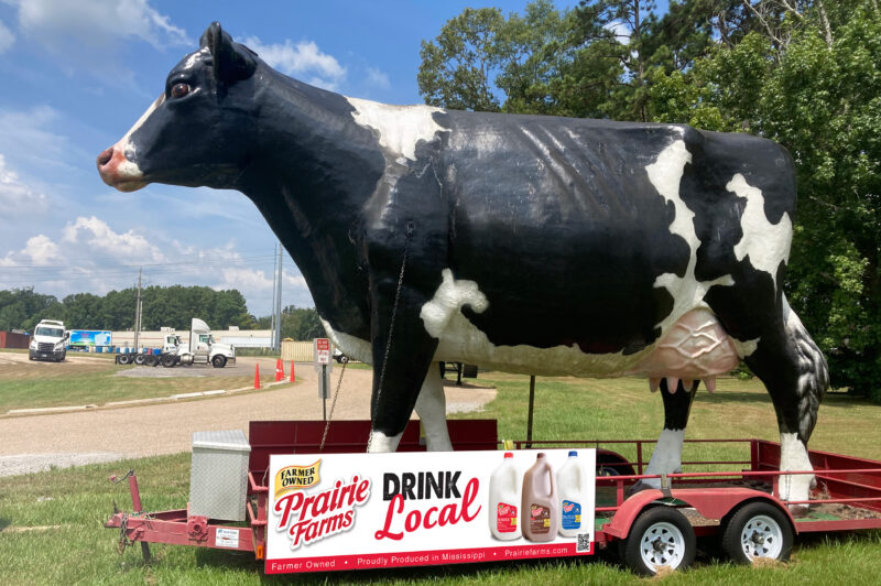 Prairie Farms Introduces New Cow Mascot at Mississippi State Fair ...
