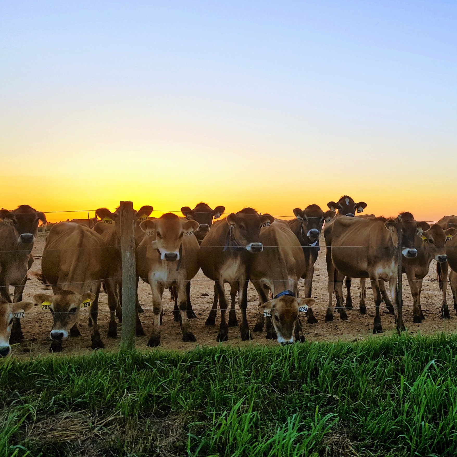 Contact - Prairie Farms Dairy, Inc.